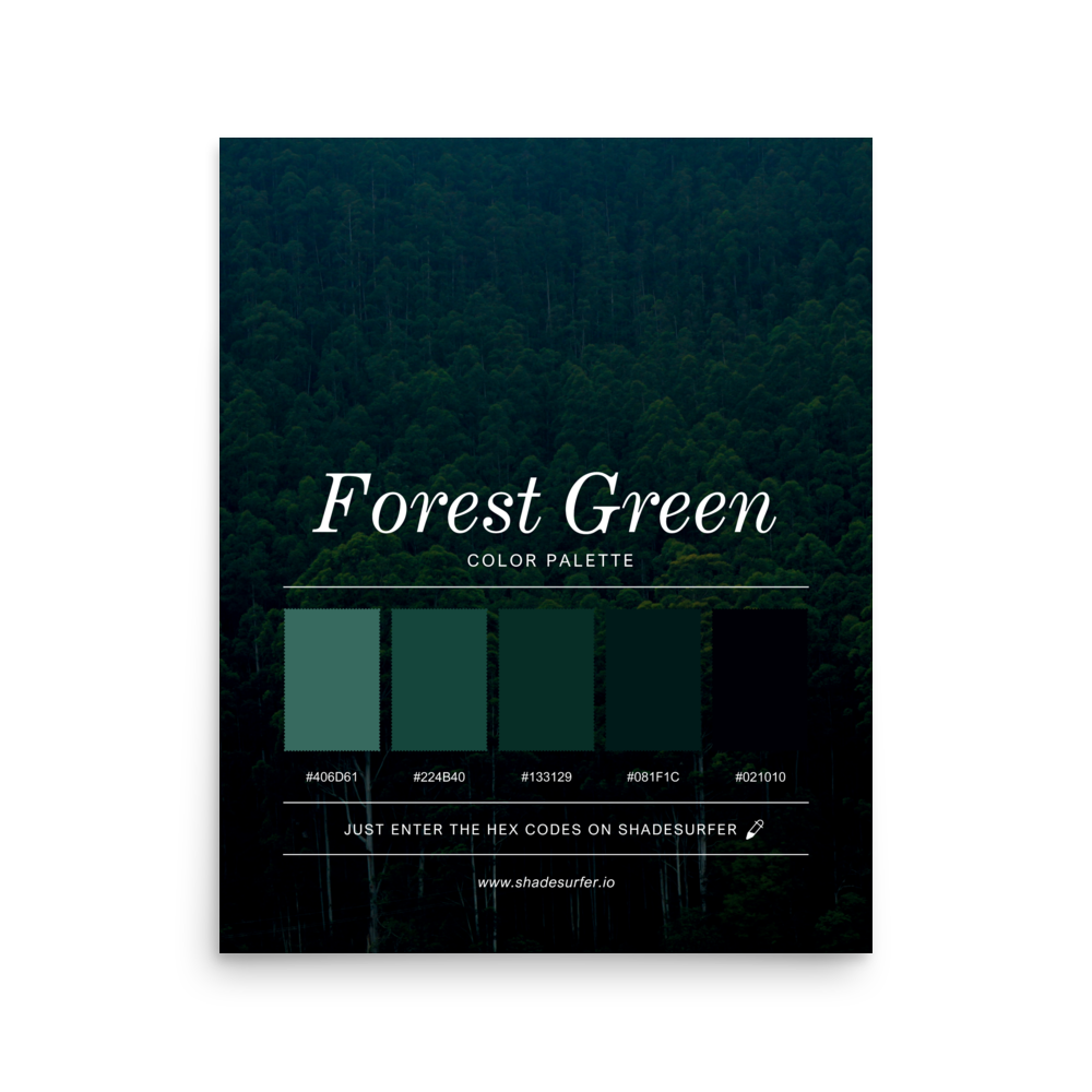 ShadeSurfer - Custom Color Palette Generator